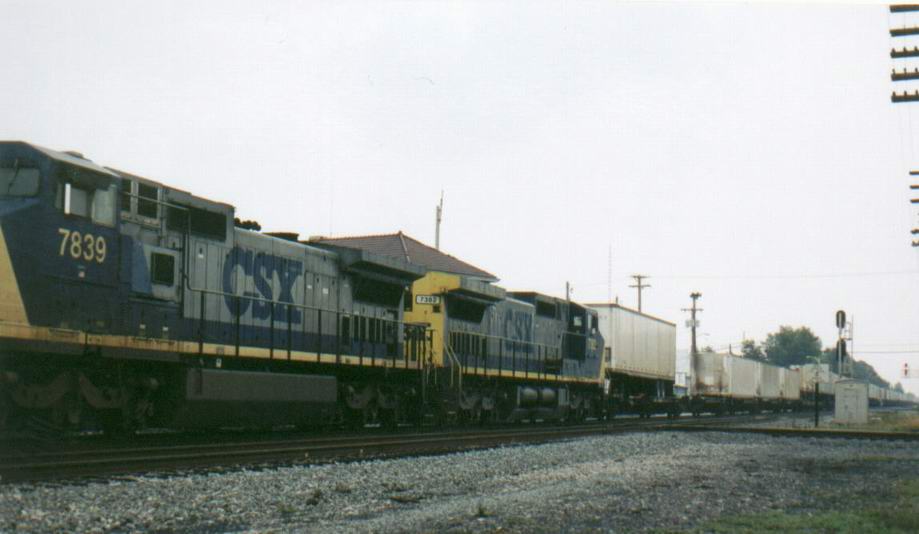 Downsized Image [csx7839x.jpg - 47kB]